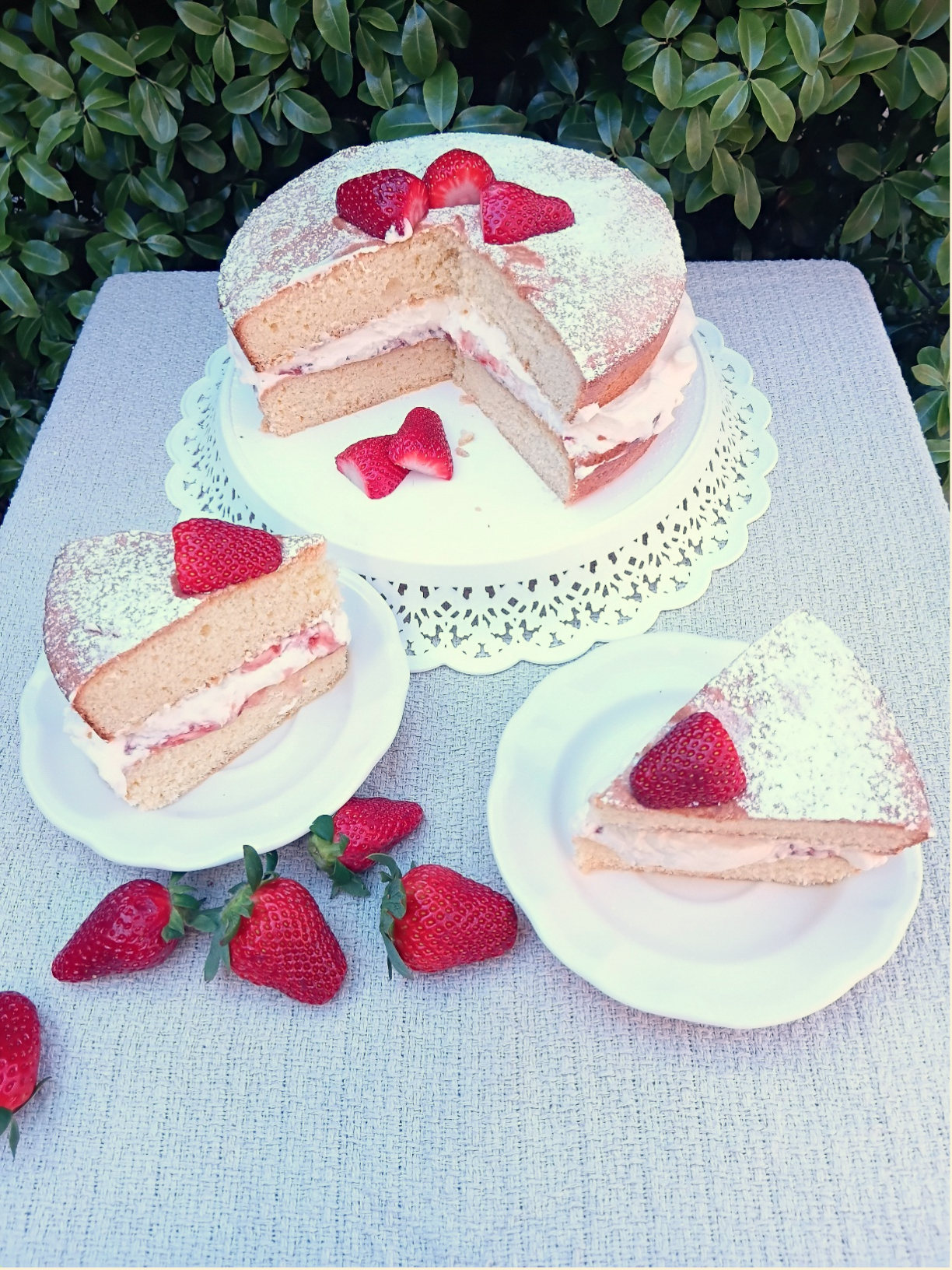 Simple Sponge Cake - A Dash Of Rose Marie